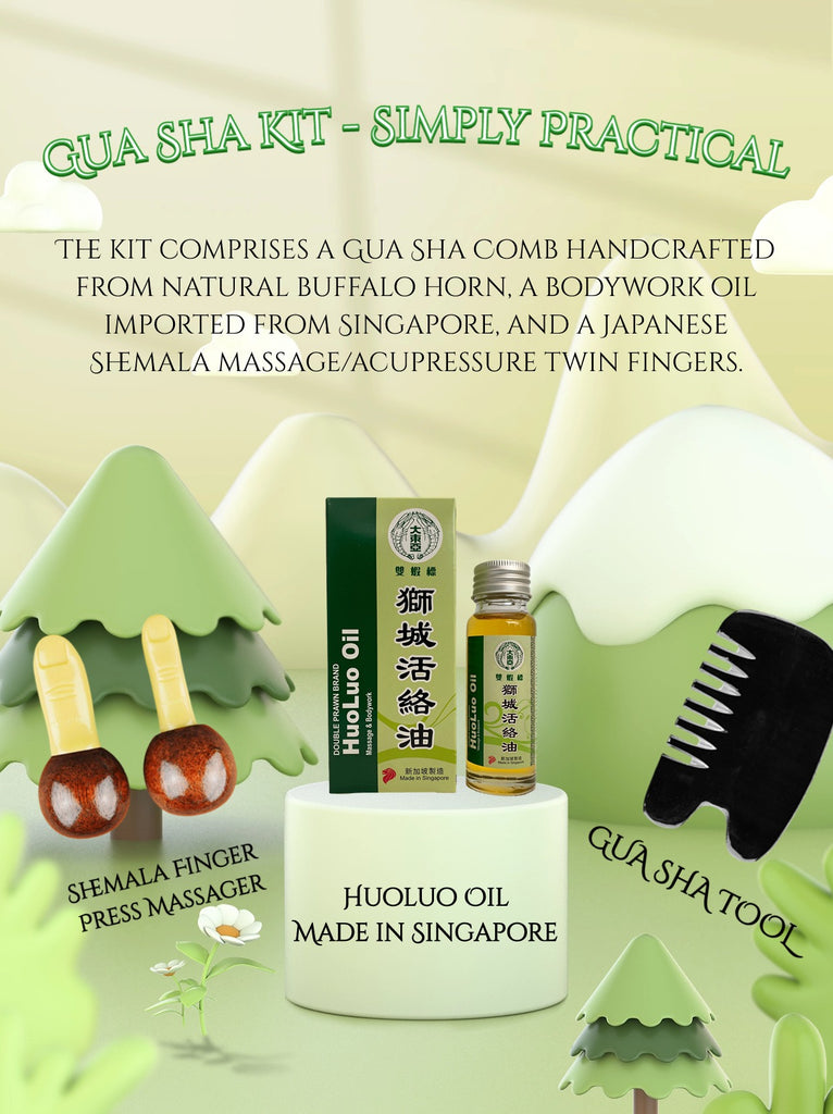 Gua Sha Kit – Simply Practical — AcuWarehouse.com